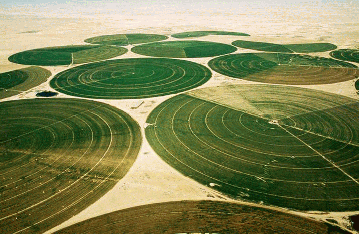 Saudi Wells Running Dry — Of Water — Spell End Of Desert Wheat ...