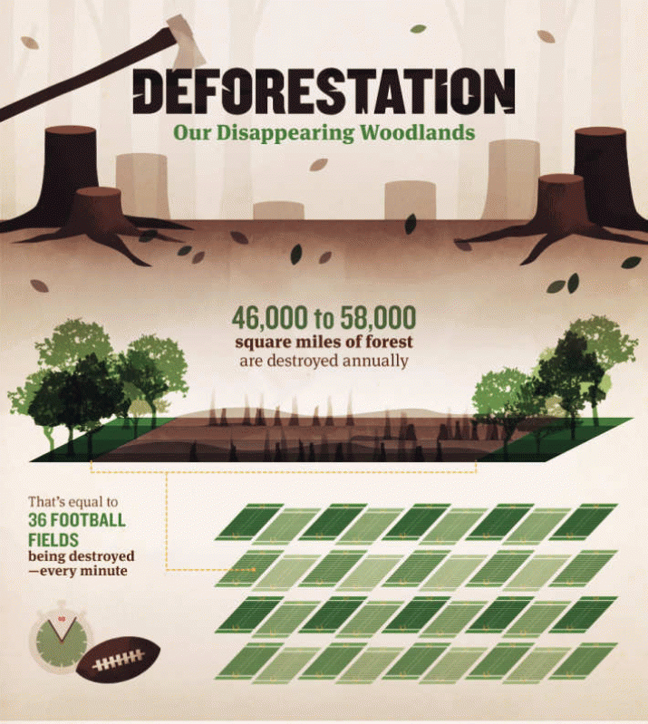 World Governments Failing Earth's Ecosystems, Says Top Conservationist ...