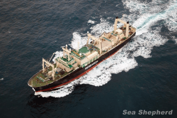 Harpoon Ship Stopped. Harpoon Ship Poised. Fleet Disarray. Whales ...