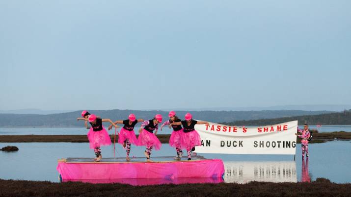 Catastrophic’ Decreases Of Tassie Ducks Ahead Of Annual Shoot ...