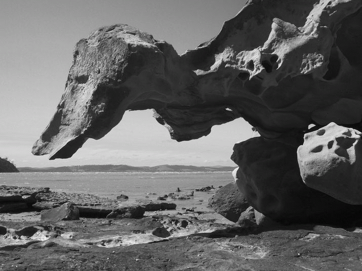 First Day ... - Tasmanian Times