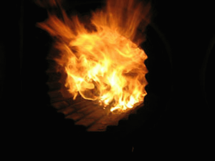 Biomass for future renewable energy UPDATES - Tasmanian Times