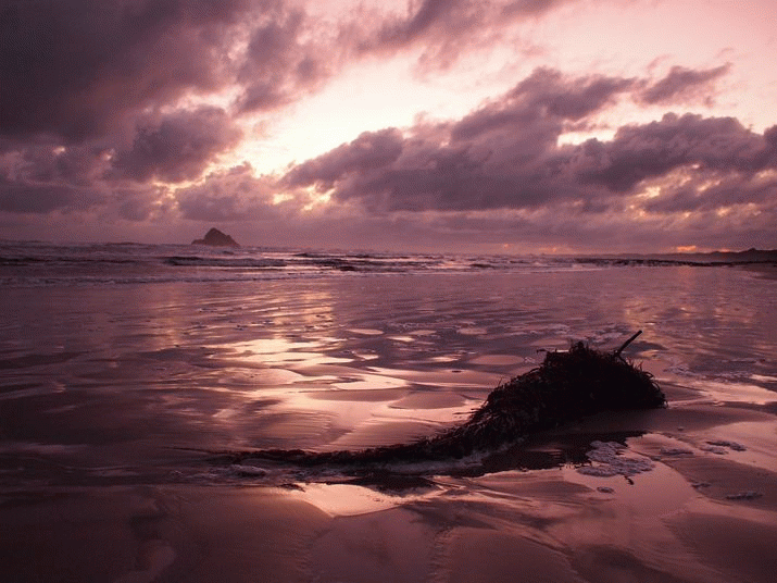 First Day Of The Month Salute ... - Tasmanian Times