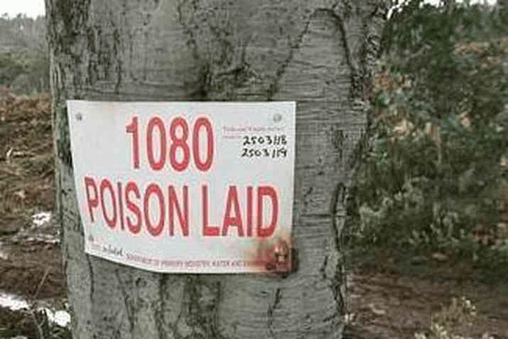 CAUTION ... 1080 Poison ... - Tasmanian Times