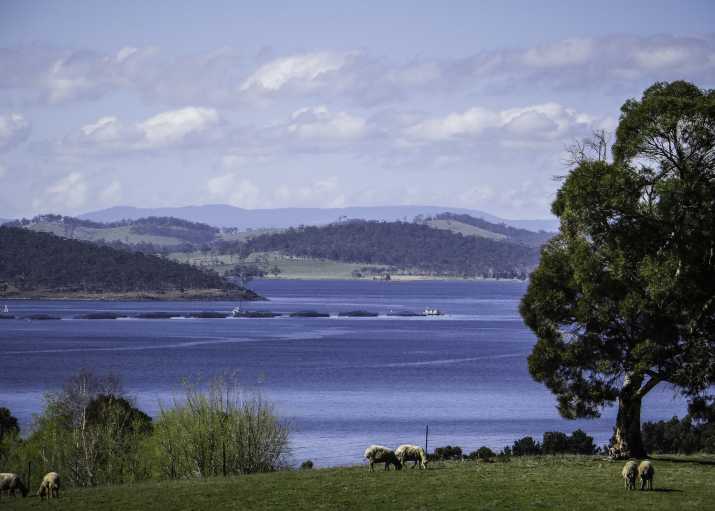 Glamorgan Spring Bay Council’s Very Secret Business ... - Tasmanian Times