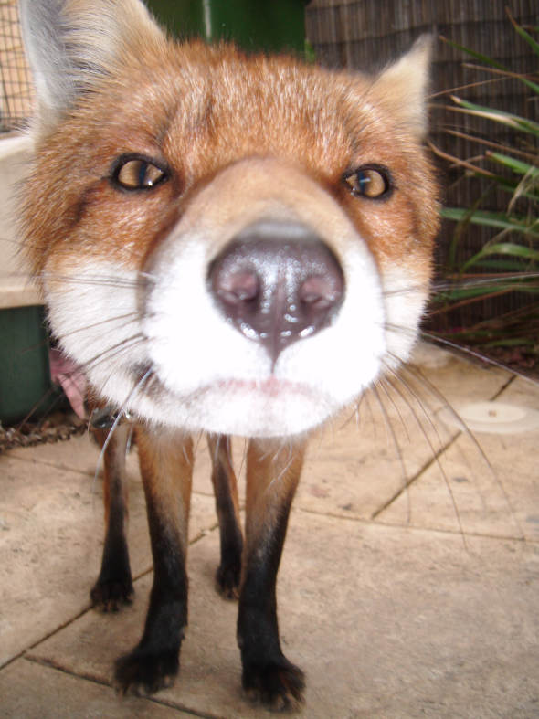 Why isn't anyone talking about me anymore ... ? - Tasmanian Times