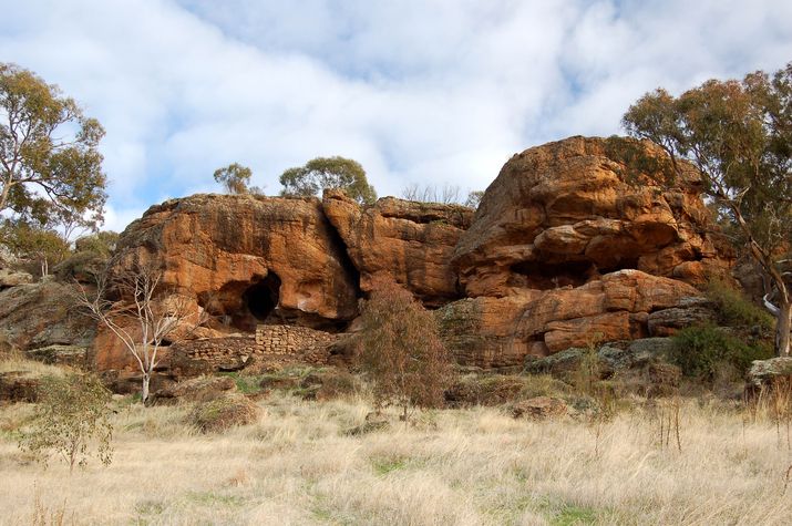 Life And Legacy Of Griffith's Hermit - Tasmanian Times