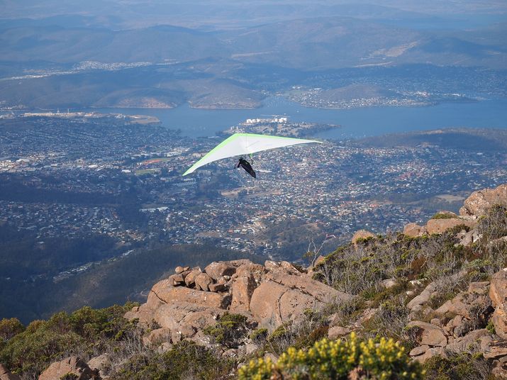 First Day: Taking Flight ... - Tasmanian Times