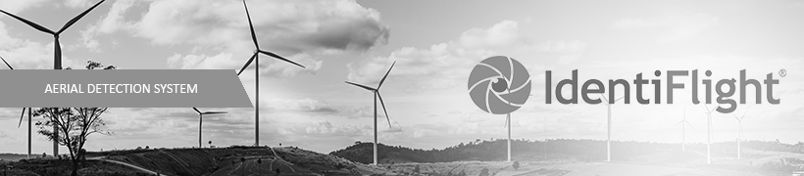 IdentiFlight Technology To Be Trialed To Protect Eagles At Goldwind ...