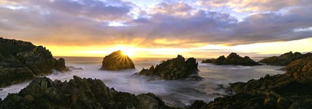 Tarkine/takayna – The Evolution Of A National Park - Tasmanian Times