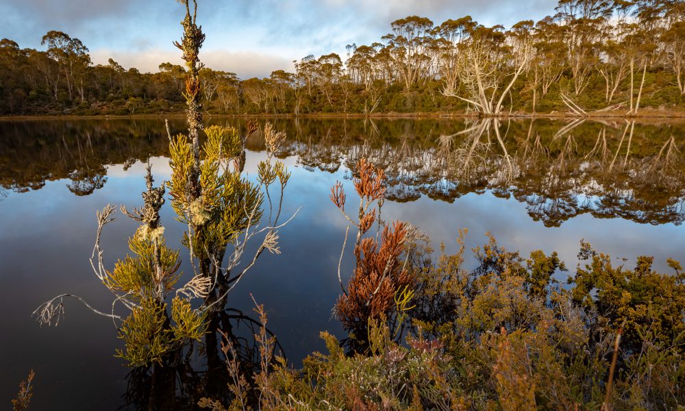 $6K For Halls Island Lease - Tasmanian Times