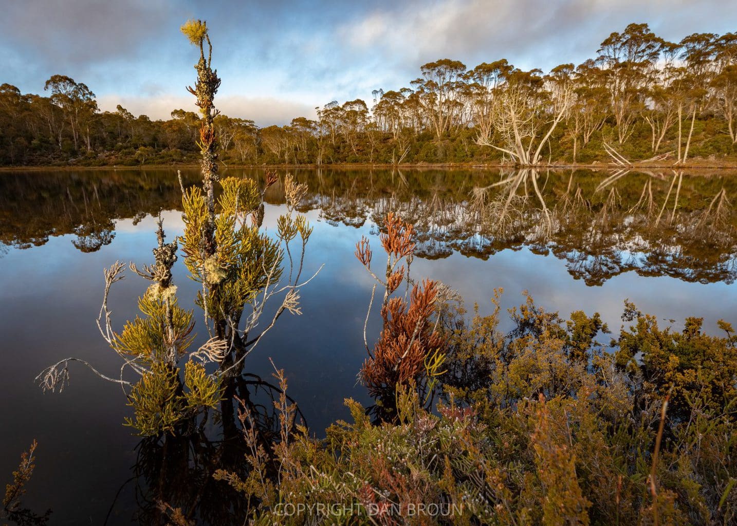 $6K For Halls Island Lease - Tasmanian Times
