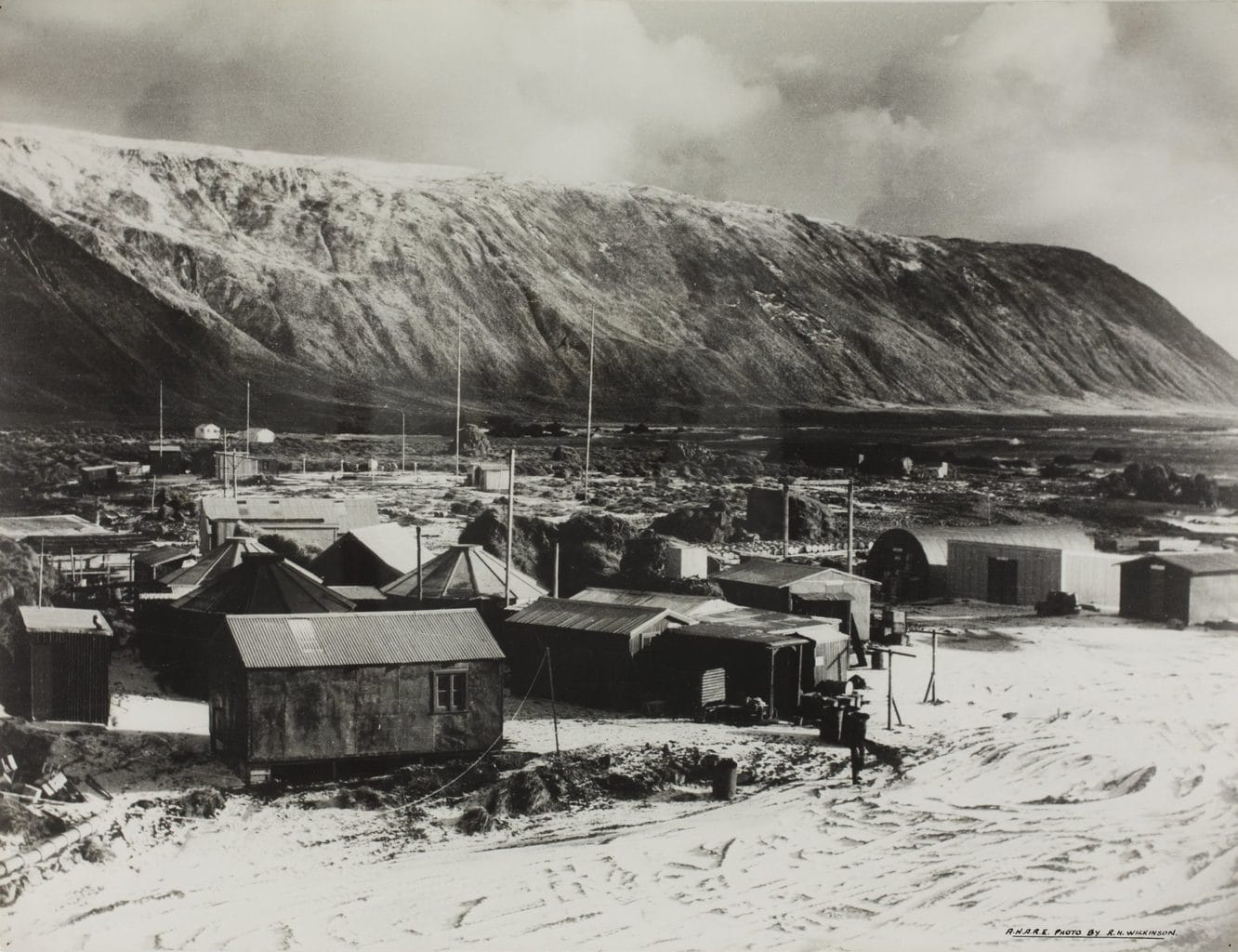 Macquarie Island: A Short History - Tasmanian Times