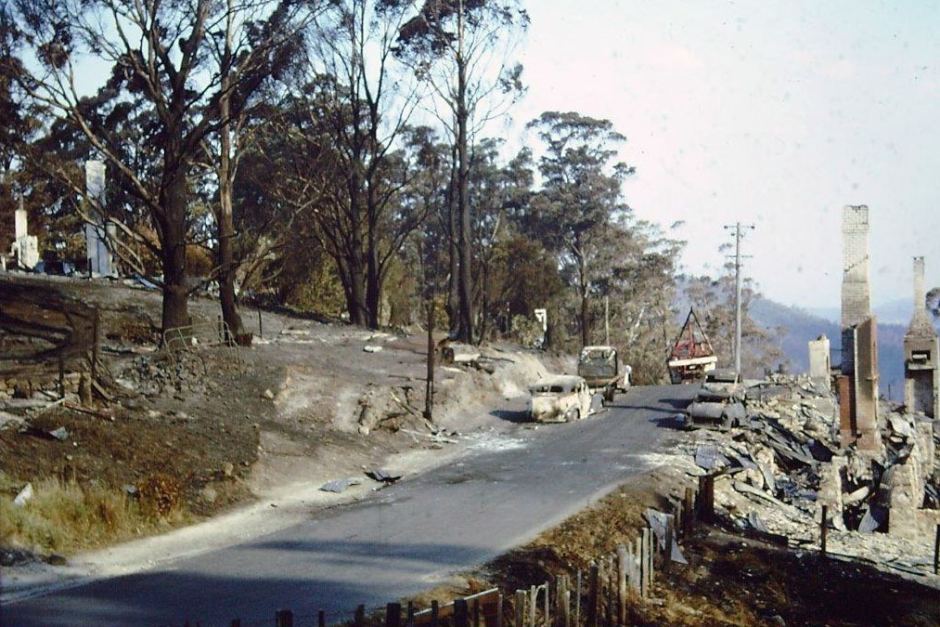 Tas That Was - The 1967 Bushfires - Tasmanian Times