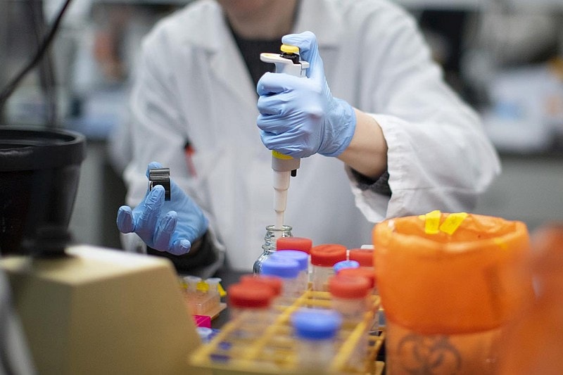 Call For Increased Tas Testing - Tasmanian Times