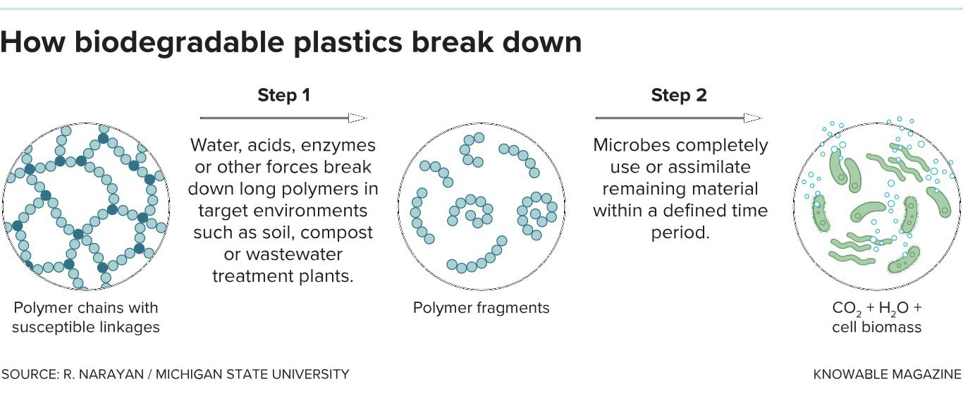 Toward Greener Plastics - Tasmanian Times