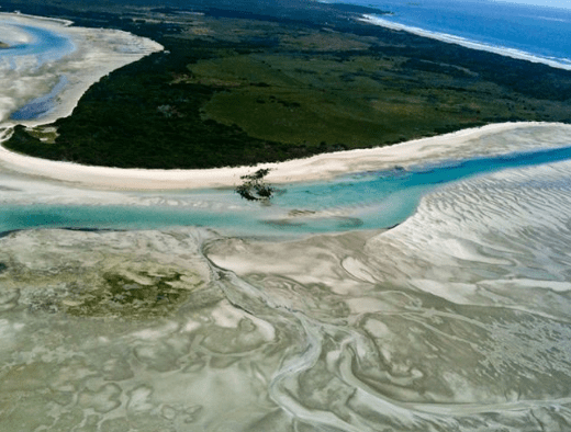 Robbins Island Wind Farm Proposal Destructive: Says Garland