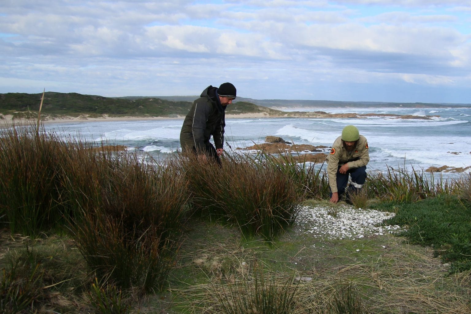 Tasmanian Aboriginal Language Today - Part 1 - Tasmanian Times