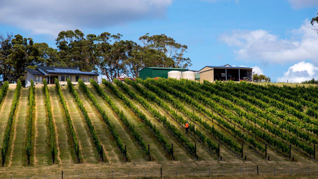 Time To Re-visit Coast With The Most - Tasmanian Times