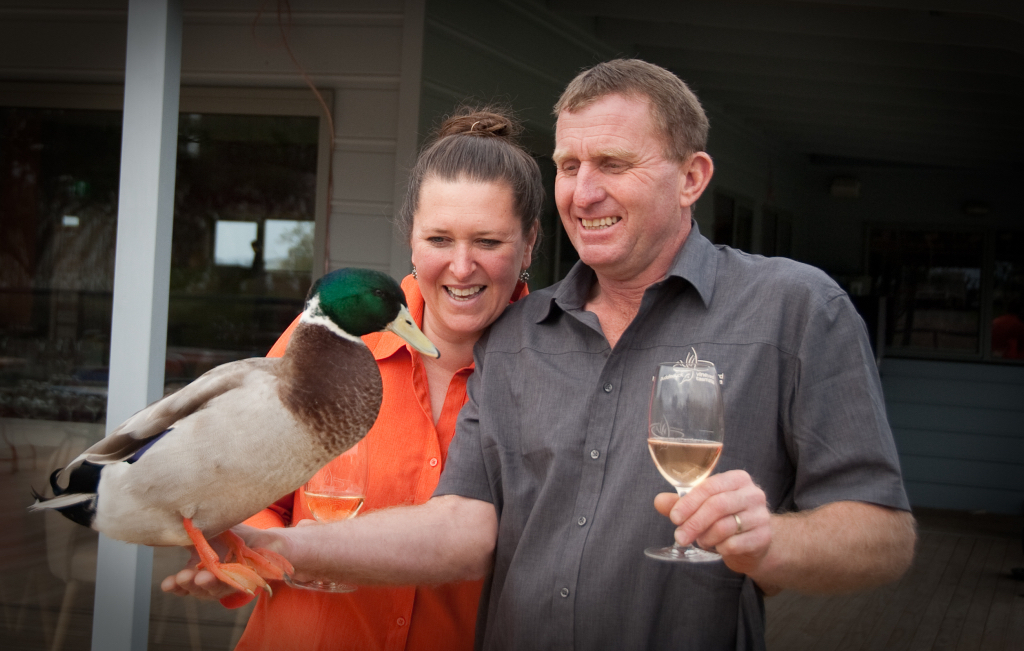 Ducky Couple Are Working To Plan - Tasmanian Times