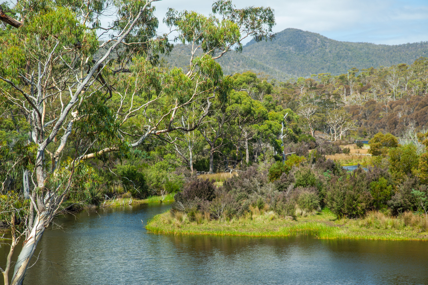 New Nature Reserve - Tasmanian Times