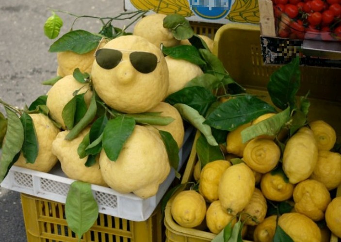 Telopean Tales - Tasmanian Times