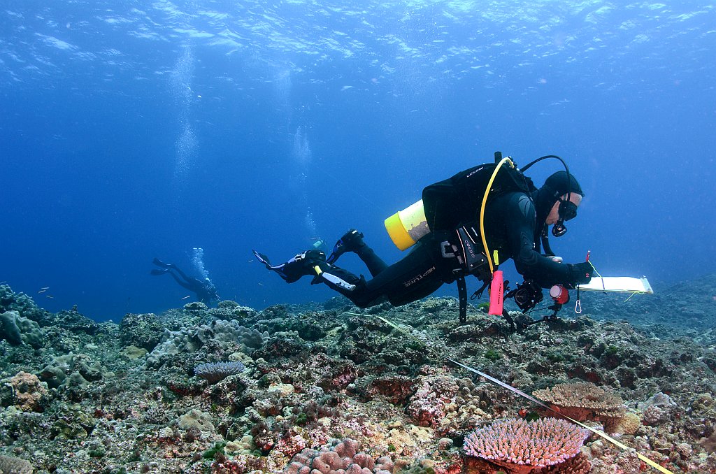 Immersive Platform To Explore Global Reef Ecosystems - Tasmanian Times