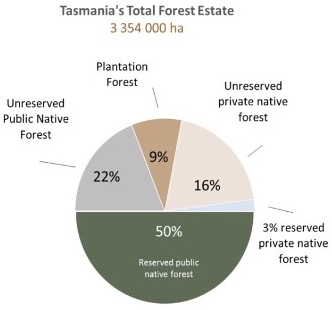 Woodchips Or Wilderness? - Tasmanian Times