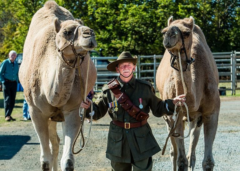 War Animal Remembrance Day - Tasmanian Times