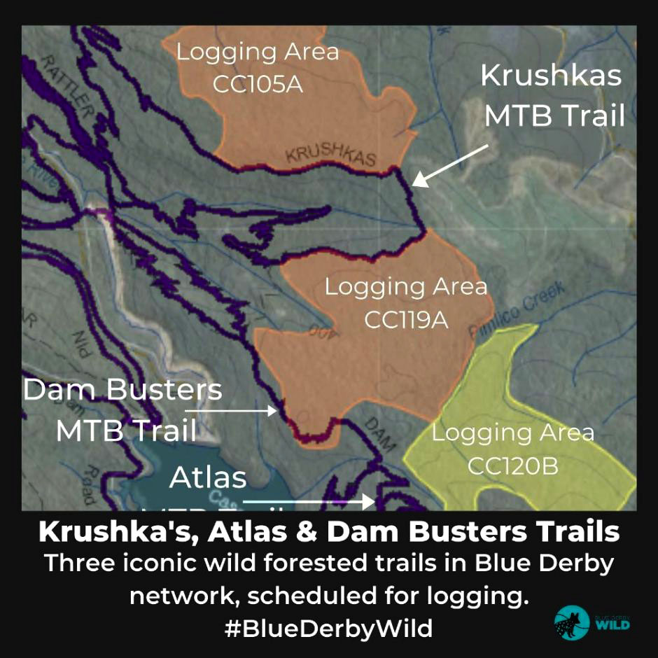 STT Logging Will Impact Mountain Bike Trails - Tasmanian Times