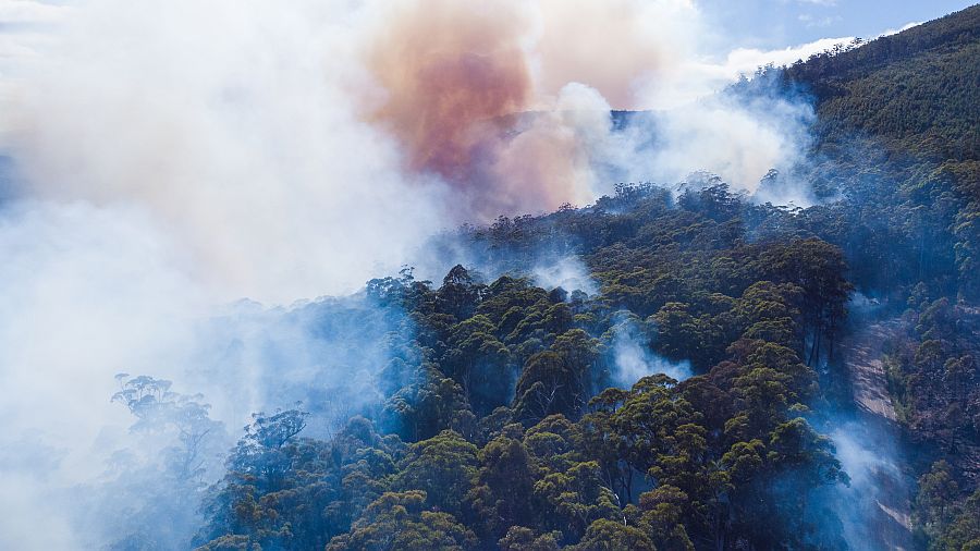Styx Valley Logging Fire 'Out Of Control' - Tasmanian Times
