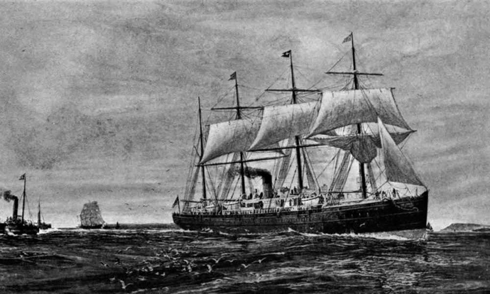 The Waratah - Tasmanian Times