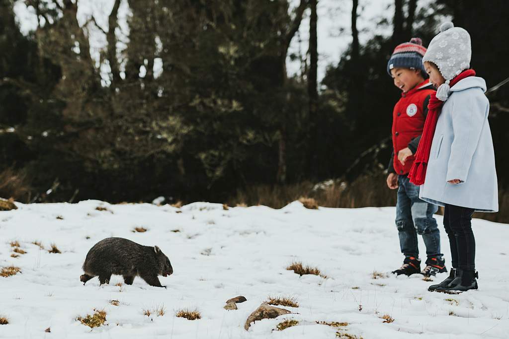 Tourism Campaign Embraces The Chill - Tasmanian Times