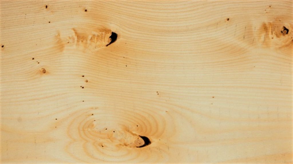 Huon Pine - Tasmanian Times