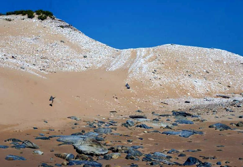 Arthur Pieman Conservation Area Values Assessment - Tasmanian Times