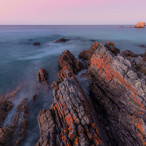North-west Tasmania For Clean Oceans - Tasmanian Times