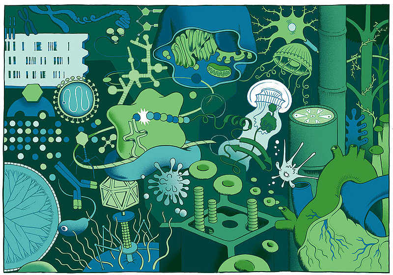 'The Poetry Of Science' Competition - Tasmanian Times