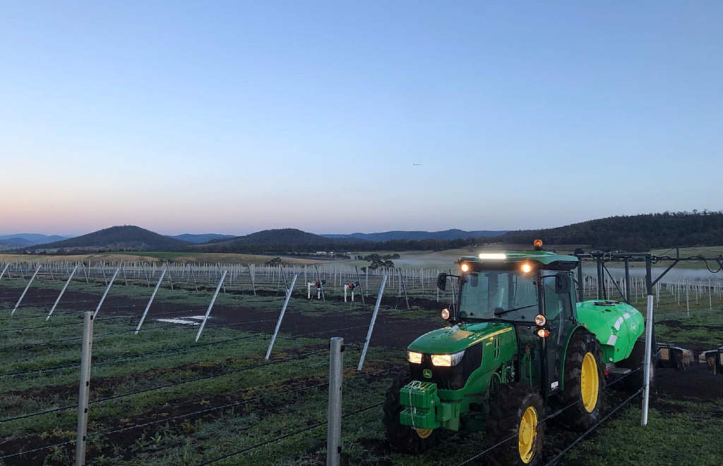 New Vine Projects Grow Industry Future - Tasmanian Times