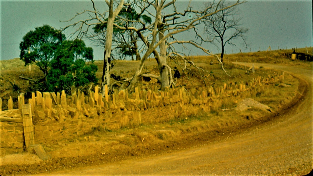Tas That Was – The Spiky Bridge - Tasmanian Times