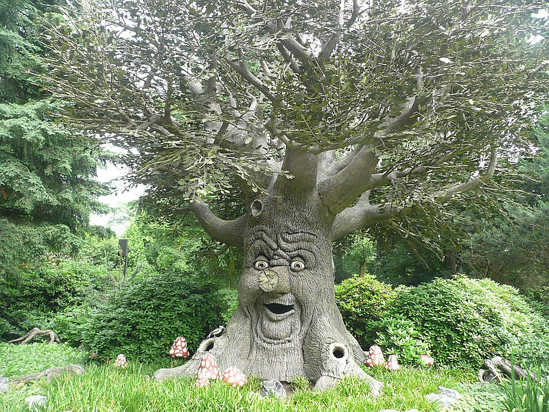 Dear Tree ... - Tasmanian Times