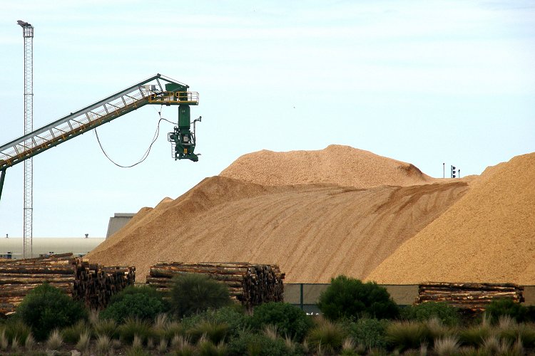 Forestry Tasmania Releases Annual Report 2020-21 - Tasmanian Times