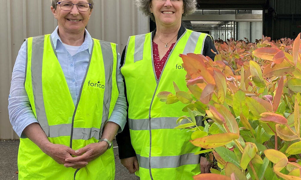 New Forico Directors - Tasmanian Times