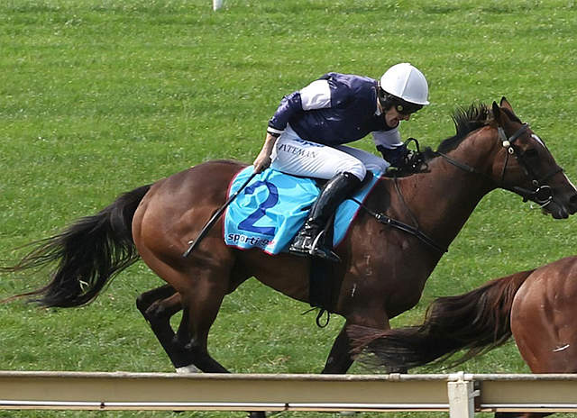 Johnston: Govt Okay With Beating Horses - Tasmanian Times