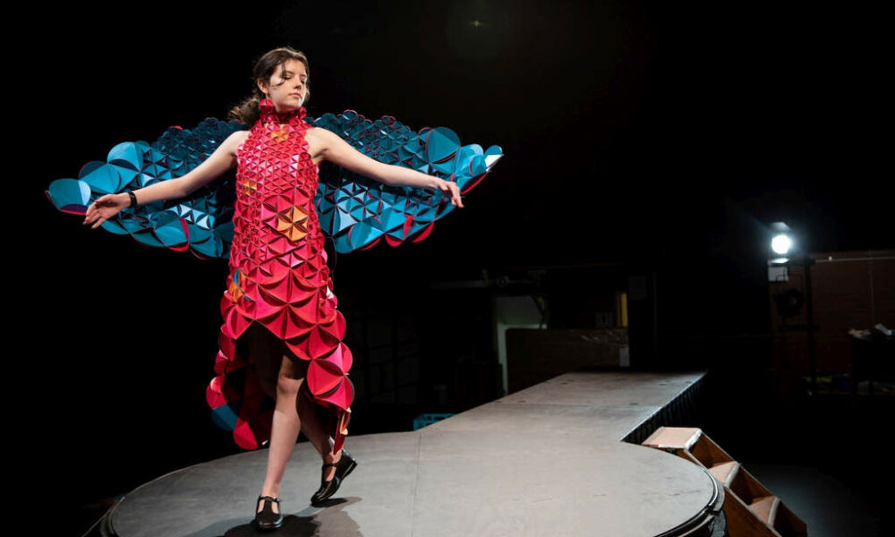 Paper On Skin Gala Parade And Award Evening - Tasmanian Times