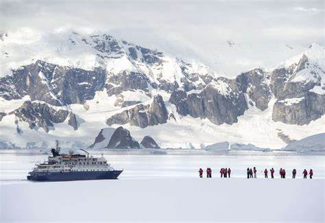 4 New Research Projects About Antarctic Tourism - Tasmanian Times