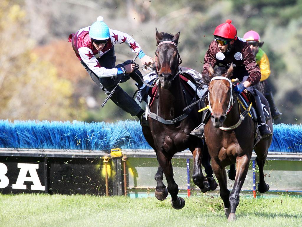 Tasracing CEO Bails ... - Tasmanian Times