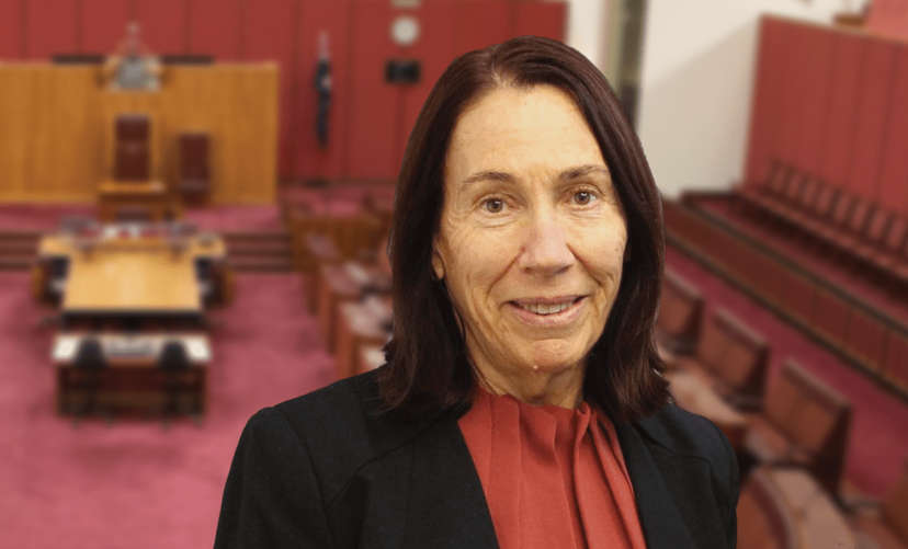 Susan Lines's Instagram, Twitter & Facebook on IDCrawl