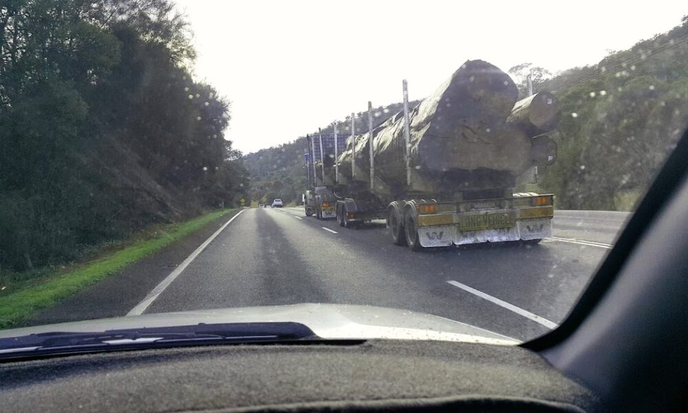 Australia's Favourite Tree? - Tasmanian Times