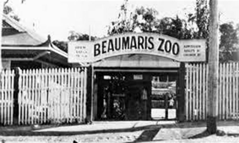 Tas That Was – Beaumaris Zoo - Tasmanian Times