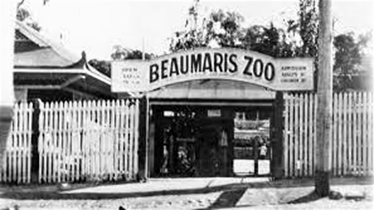 Tas That Was – Beaumaris Zoo - Tasmanian Times